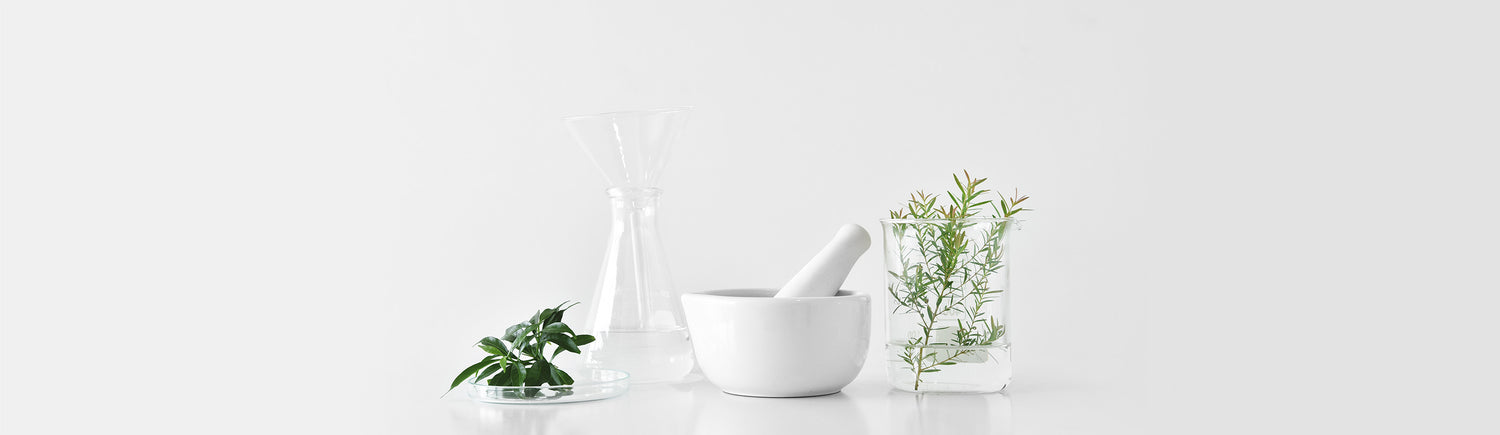 Wissenschaft des Scheinfastens | ProLon® – ProLon® Germany